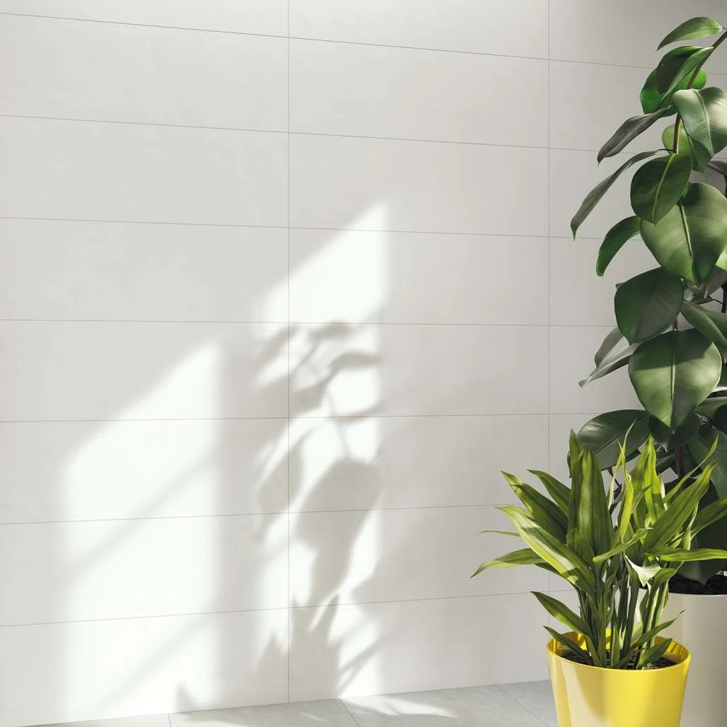 Коллекция Проект Coliseumgres